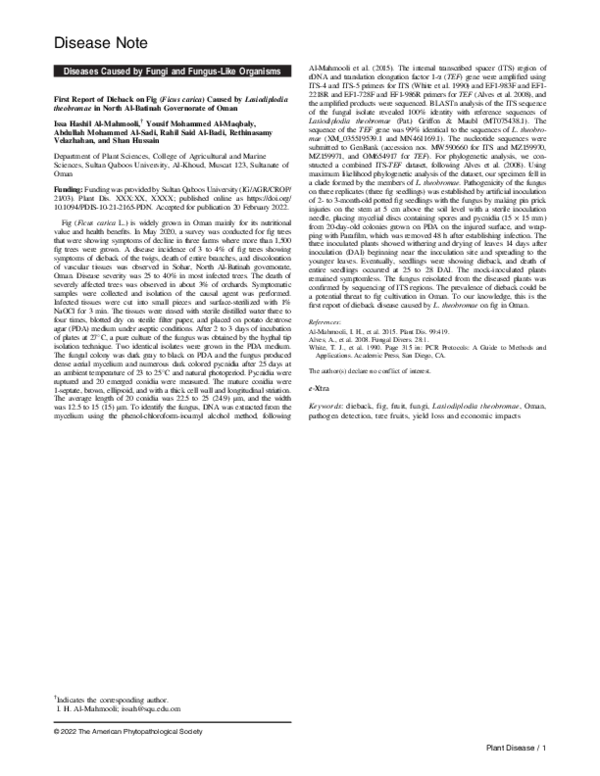 (PDF) First Report of Dieback on Fig (Ficus carica) Caused by ...