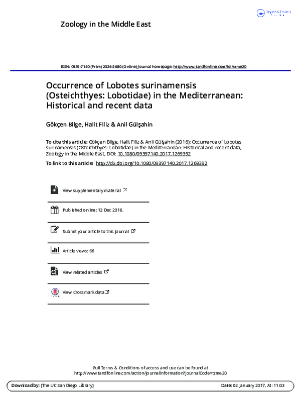 (PDF) Occurrence of Lobotes surinamensis (Osteichthyes: Lobotidae) in ...