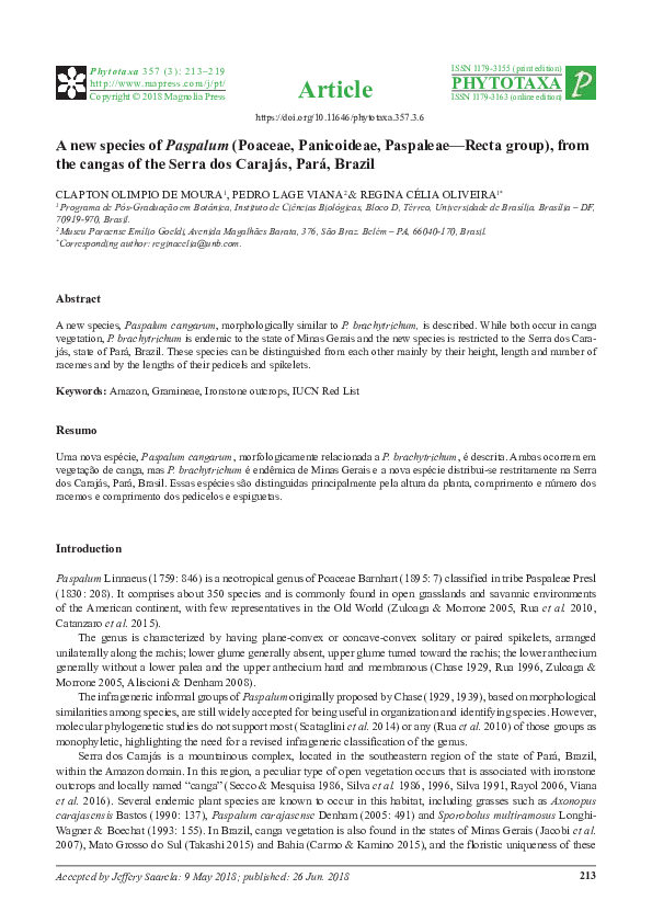 (PDF) A new species of Paspalum (Poaceae, Panicoideae, Paspaleae—Recta ...
