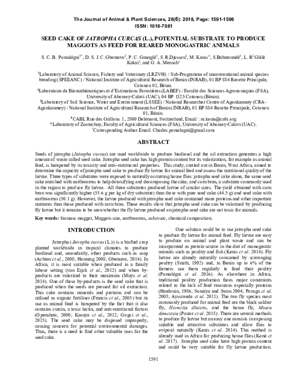 (PDF) Seed Cake of Jatropha Curcas (L.), Potential Substrate to Produce ...