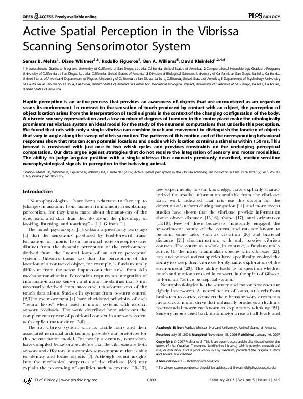 (PDF) Active Spatial Perception in the Vibrissa Scanning Sensorimotor System
