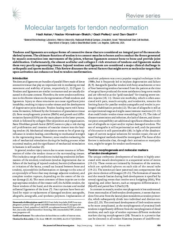 (PDF) Molecular targets for tendon neoformation