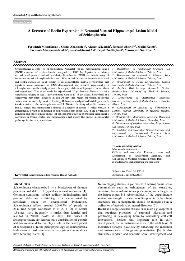 (PDF) A Decrease of Reelin Expression in Neonatal Ventral Hippocampal ...