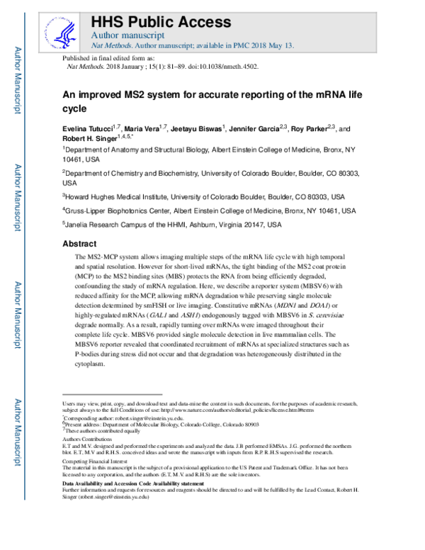 (PDF) An improved MS2 system for accurate reporting of the mRNA life cycle