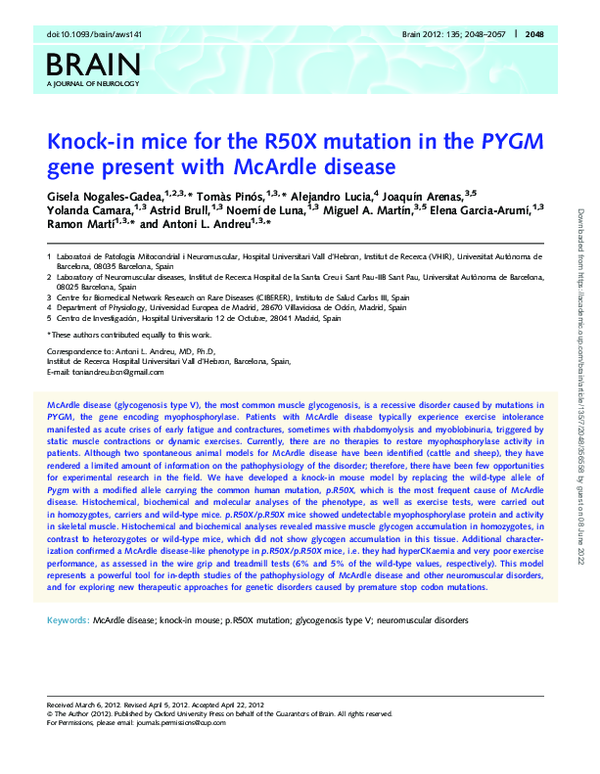 (PDF) Knock-in mice for the R50X mutation in the PYGM gene present with ...