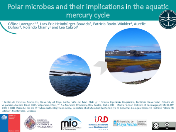 (PDF) Polar microbes and their implications in the aquatic mercury cycle