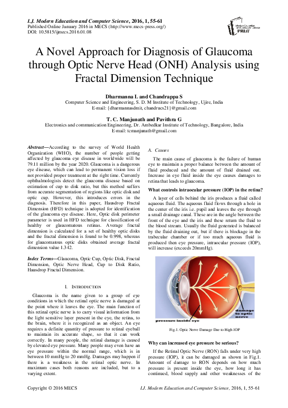 (PDF) A Novel Approach for Diagnosis of Glaucoma through Optic Nerve ...