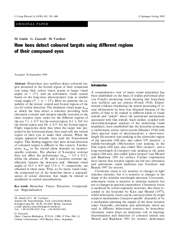 (PDF) How bees detect coloured targets using different regions of their ...