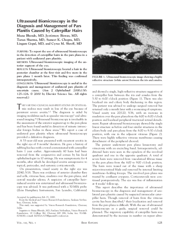 (PDF) Ultrasound biomicroscopy in the diagnosis and management of pars ...
