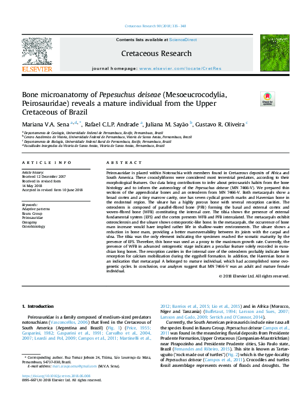 (PDF) Bone microanatomy of Pepesuchus deiseae (Mesoeucrocodylia ...