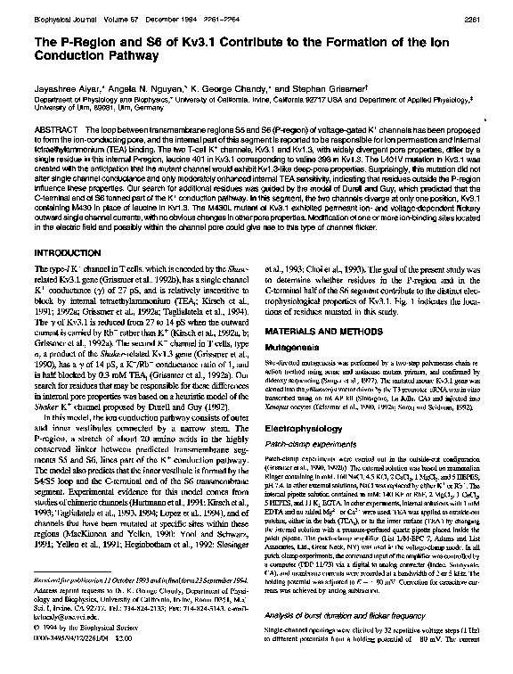 (PDF) The P-region and S6 of Kv3.1 contribute to the formation of the ...