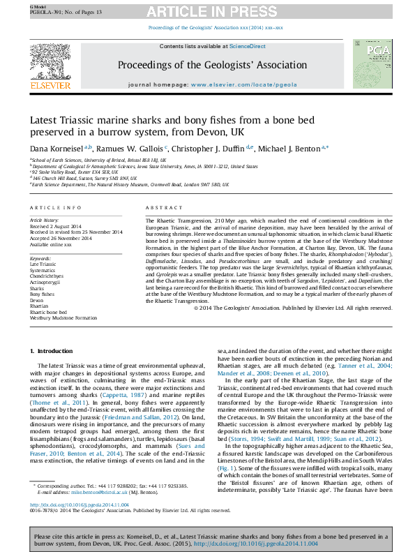 (PDF) Latest Triassic marine sharks and bony fishes from a bone bed ...