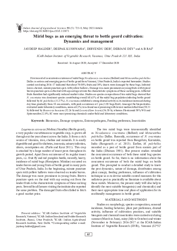 (PDF) Mirid bugs as an emerging threat to bottle gourd cultivation ...
