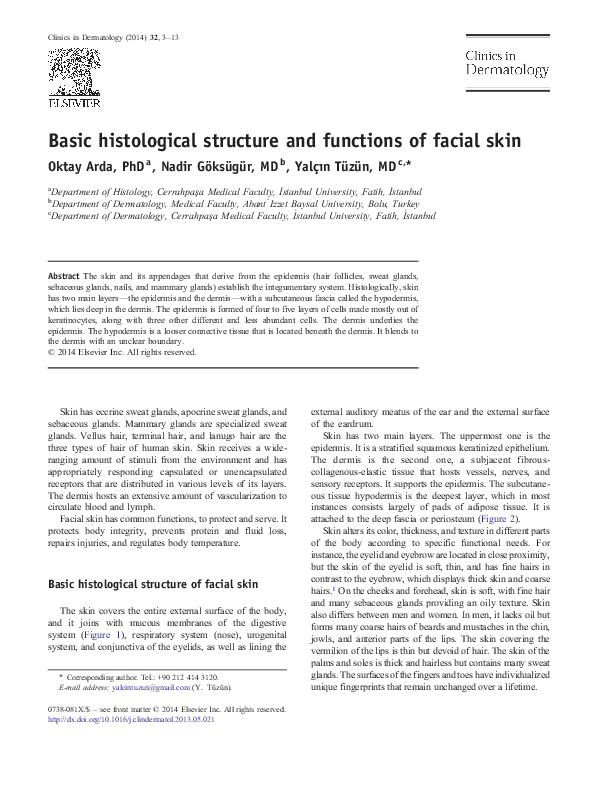 (PDF) Basic histological structure and functions of facial skin