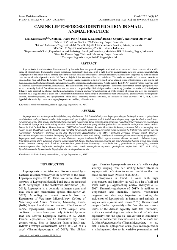 (PDF) Canine Leptospirosis Identification in Small Animal Practice