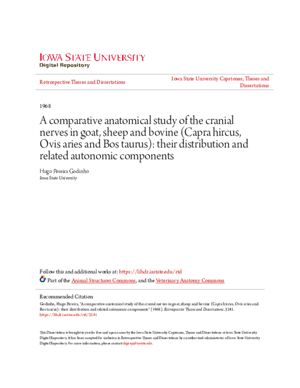 (PDF) A comparative anatomical study of the cranial nerves in goat ...