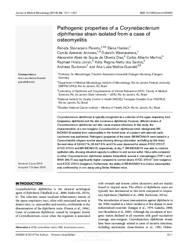 (PDF) Pathogenic properties of a Corynebacterium diphtheriae strain ...
