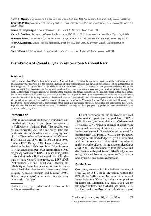 (PDF) Distribution of Canada lynx in Yellowstone National Park