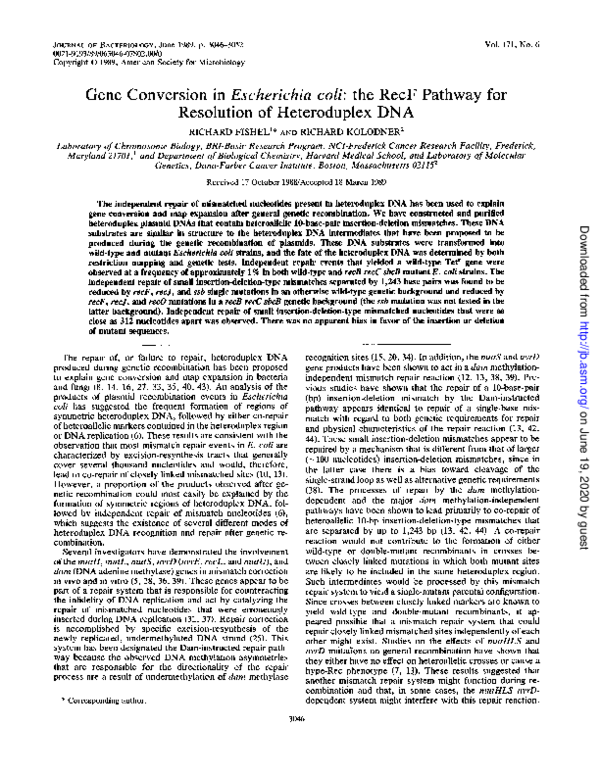 (PDF) Gene conversion in Escherichia coli: the recF pathway for ...