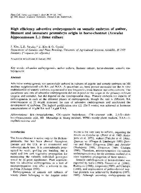 (PDF) High efficiency adventive embryogenesis on somatic embryos of ...