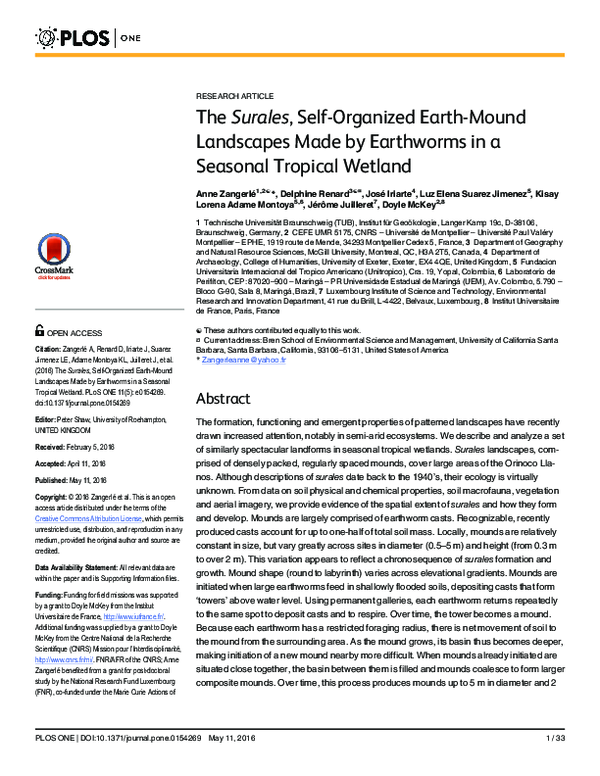 (PDF) The Surales, Self-Organized Earth-Mound Landscapes Made by ...