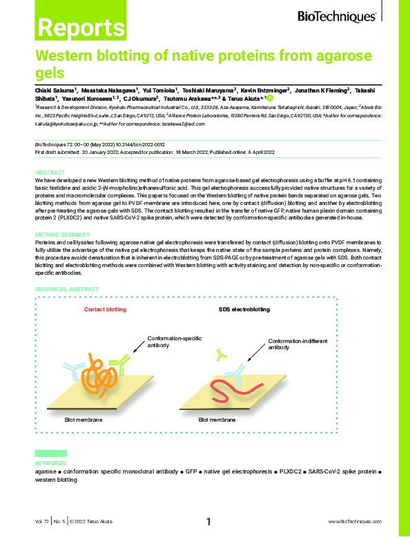 (PDF) Western blotting of native proteins from agarose gels | Teruo ...