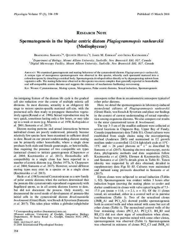 (PDF) Spermatogenesis in the bipolar centric diatomPlagiogrammopsis ...