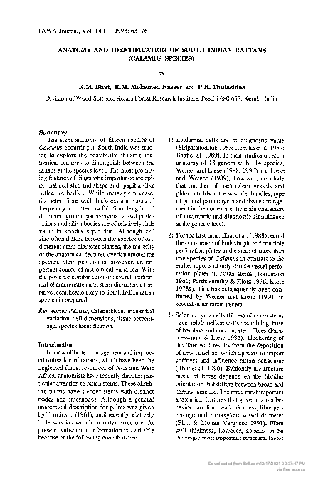 (PDF) Anatomy and Identification of South Indian Rattans (Calamus Species)