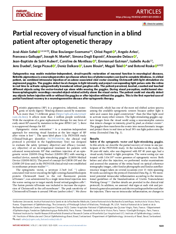 (PDF) Partial recovery of visual function in a blind patient after ...