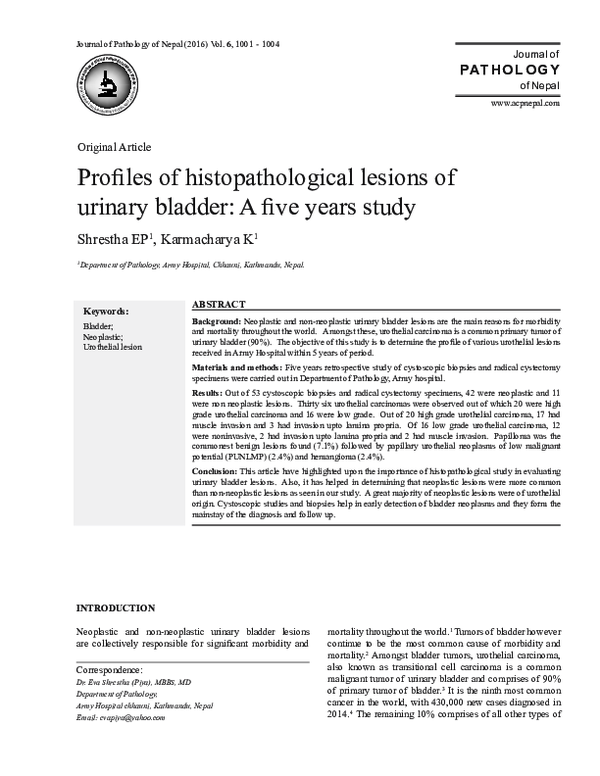 (PDF) Profiles of histopathological lesions of urinary bladder: A five ...