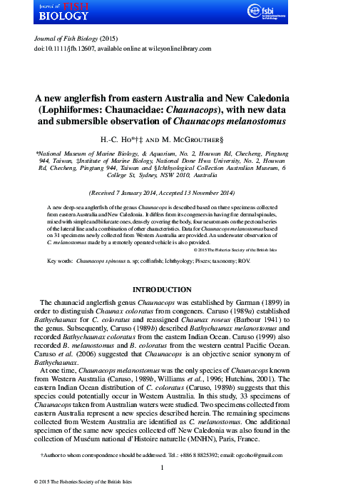 (PDF) A new anglerfish from eastern Australia and New Caledonia ...
