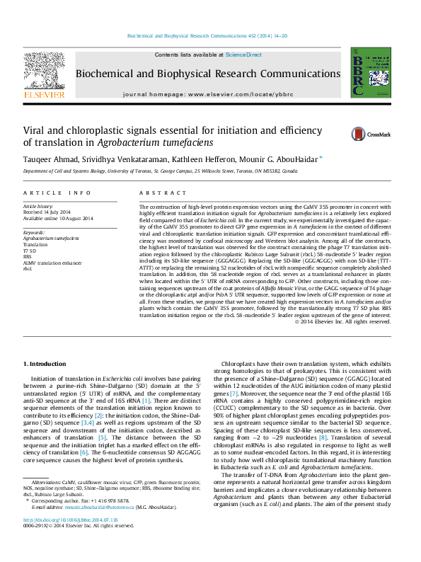 (PDF) Viral and Chloroplast Signals in Translation