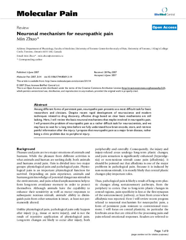 (PDF) Neuronal Mechanism for Neuropathic Pain