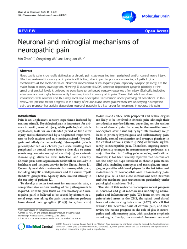 (PDF) Neuronal and microglial mechanisms of neuropathic pain | Min Zhuo ...