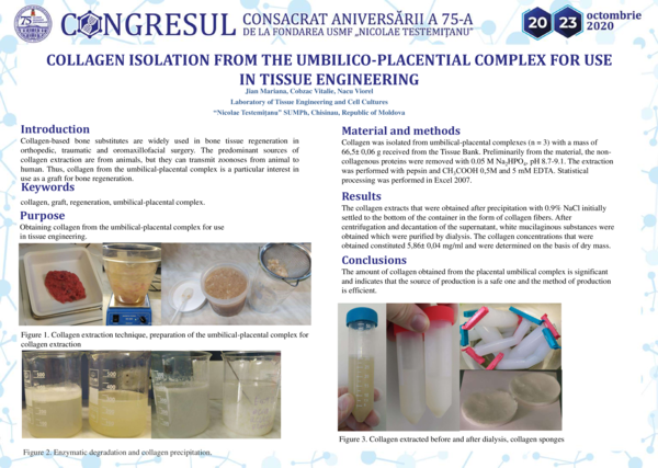 (PDF) Collagen isolation from the umbilico-placential complex for use ...