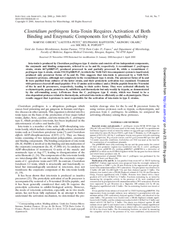 (PDF) Characterization of Clostridium perfringens Isolated from Poultry