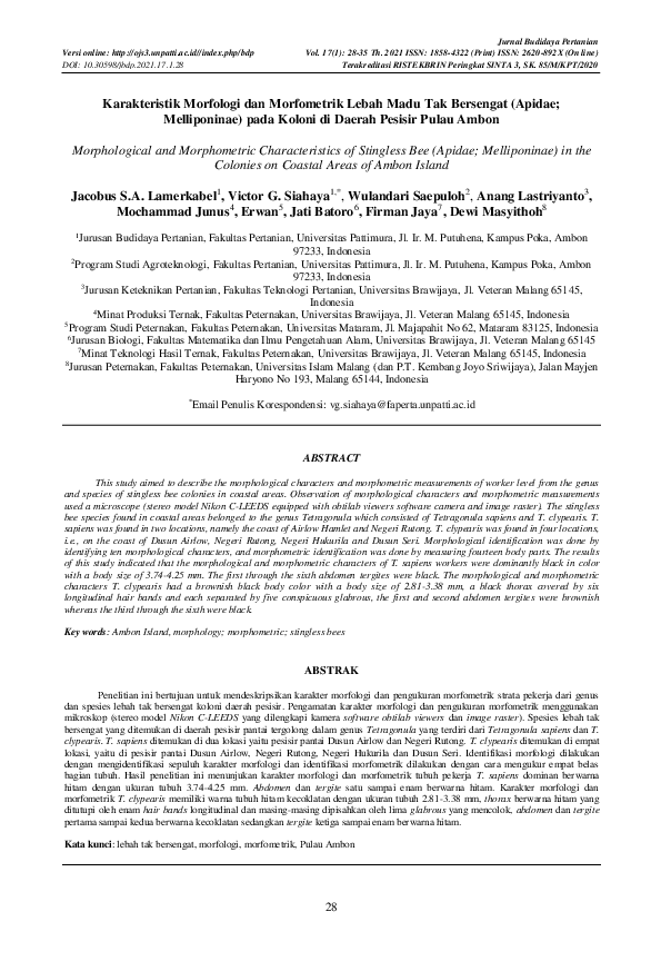 (PDF) Karakteristik Morfologi dan Morfometrik Lebah Madu Tak Bersengat ...