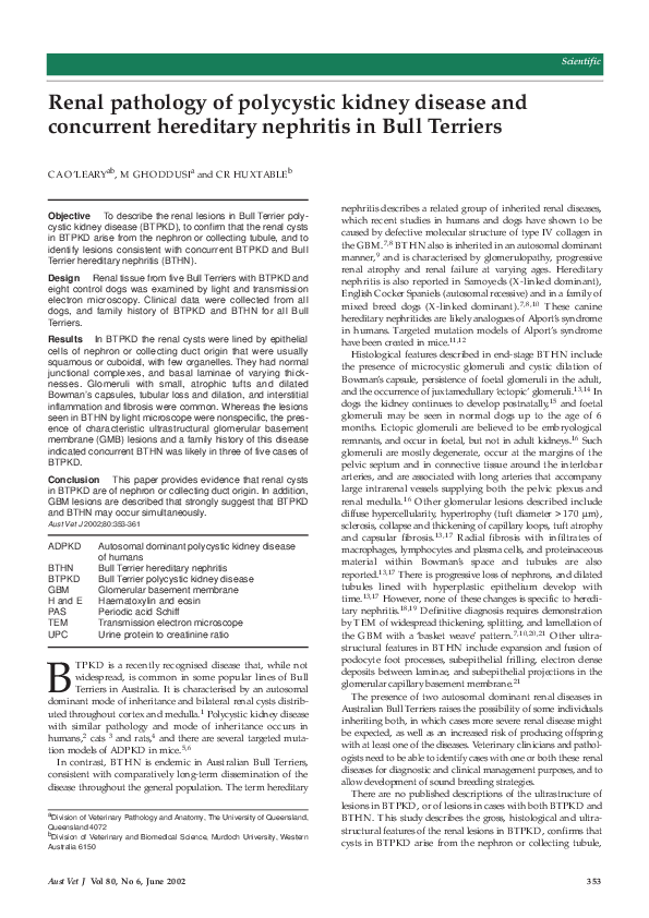 (PDF) Renal pathology of polycystic kidney disease and concurrent ...