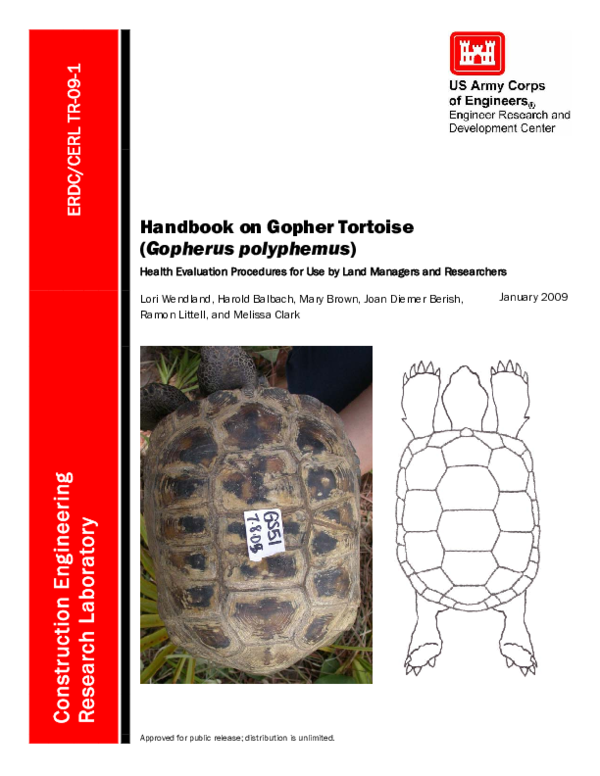 (PDF) Handbook on Gopher Tortoise (Gopherus polyphemus): Health Evaluation Procedures for Use by ...