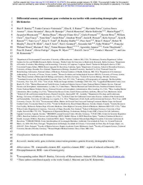 (PDF) Divergent sensory and immune gene evolution in sea turtles with ...
