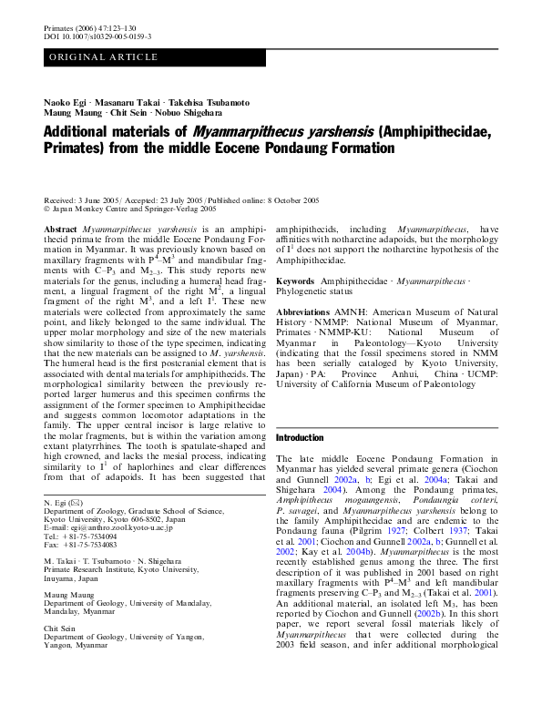 (PDF) Additional materials of Myanmarpithecus yarshensis ...