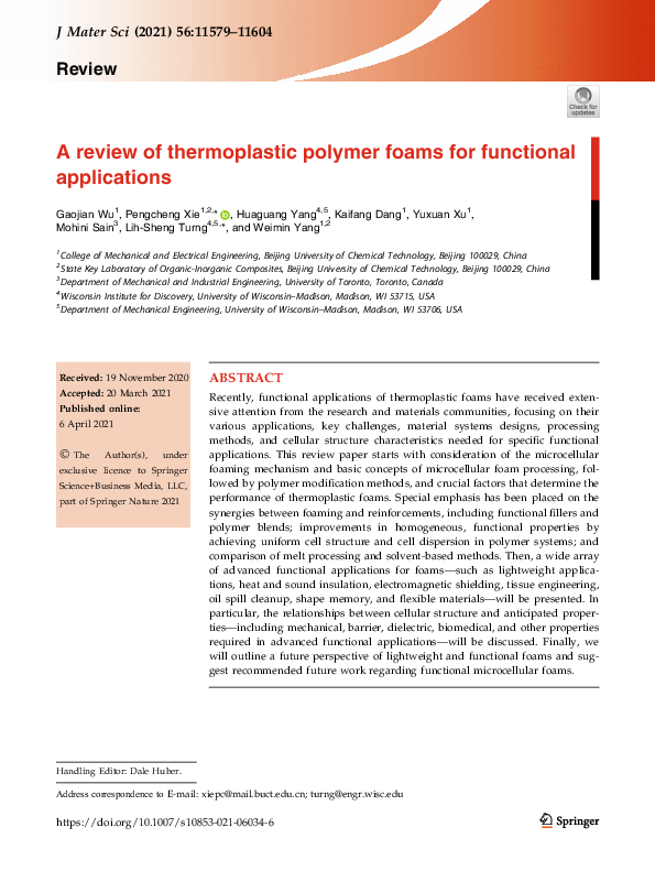 (PDF) A review of thermoplastic polymer foams for functional applications