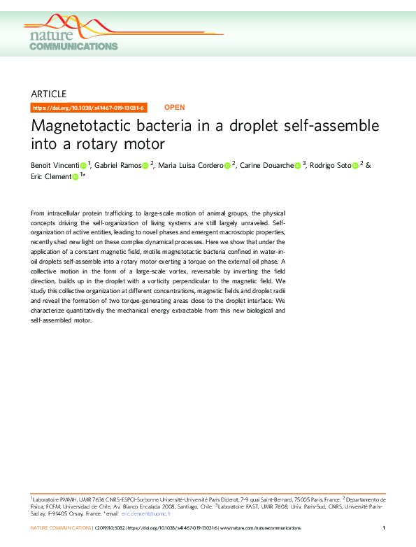 (PDF) Magnetotactic bacteria in a droplet self-assemble into a rotary motor