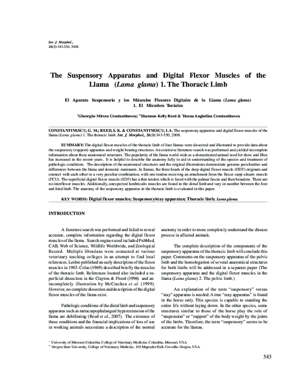 (PDF) The Suspensory Apparatus and Digital Flexor Muscles of the Llama ...