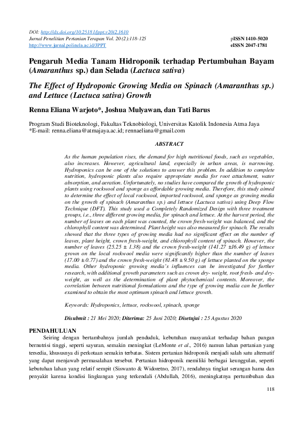 (PDF) Pengaruh Media Tanam Hidroponik terhadap Pertumbuhan Bayam ...