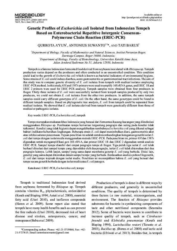 Pdf Genetic Profiles Of Escherichia Coli Isolated From Indonesian Tempeh Based On