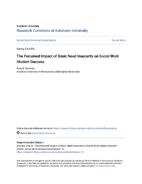 (PDF) The Perceived Impact of Basic Need Insecurity on Social Work ...