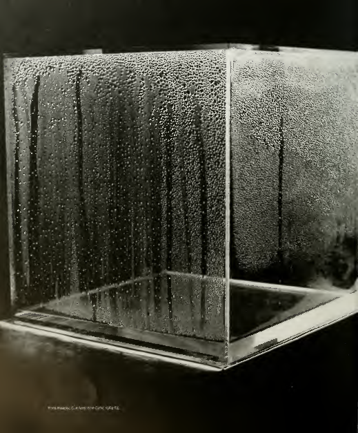 (PDF) Haacke's Condensation Cube: The Machine in the Box and the ...