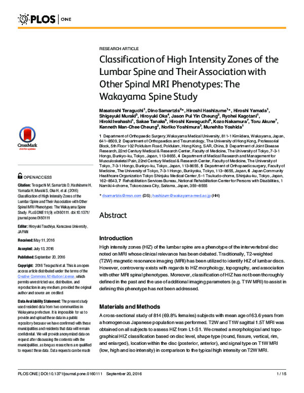 (PDF) Classification of High Intensity Zones of the Lumbar Spine and ...