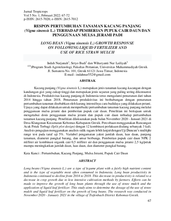 (PDF) RESPON PERTUMBUHAN TANAMAN KACANG PANJANG (Vigna sinensis L ...